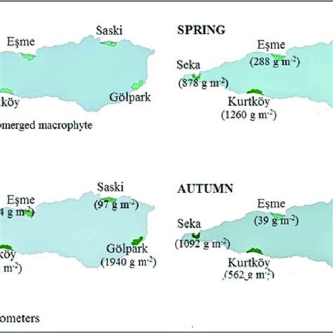 Temporal Variations In The Total Submerged Macrophyte Biomass At The Download Scientific
