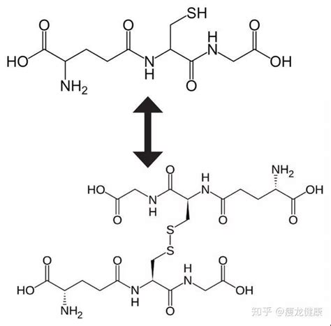 什么是谷胱甘肽？如何补充谷胱甘肽 知乎