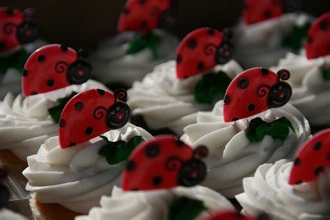무료 이미지 무당 벌레 컵 케이크 설탕 프로 스팅 장식 빨간 곤충 갑충 케이크 꾸미기 퐁당 과자 단맛 식물