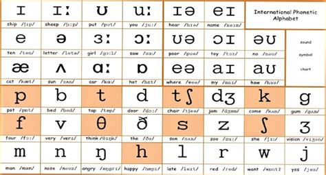 فونتیک های زبان انگلیسی، آواشناسی در زبان انگلیسی، تلفظ کلمات انگلیسی