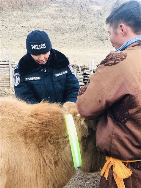 ГЭМТ ХЭРЭГ ЗӨРЧЛӨӨС УРЬДЧИЛАН СЭРГИЙЛЭХЭД ИРГЭН БҮРИЙН ОРОЛЦОО ЧУХАЛ