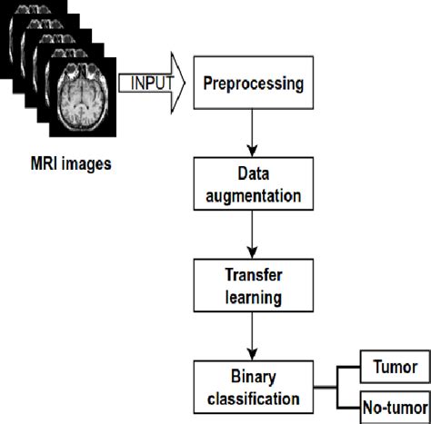 Figure 1 From Brain Mri Classification For Tumor Detection With Deep