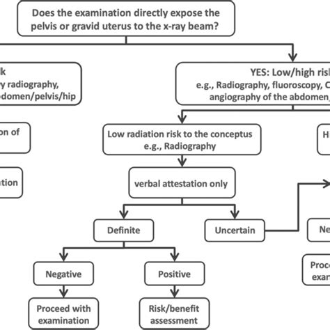Acr Spr Practice Guidelines For Pregnancy Screening Of Potentially Download Scientific Diagram