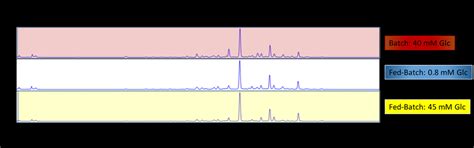 Glycan Analysis With HILIC HPLC Three Representative Chromatograms Download Scientific Diagram