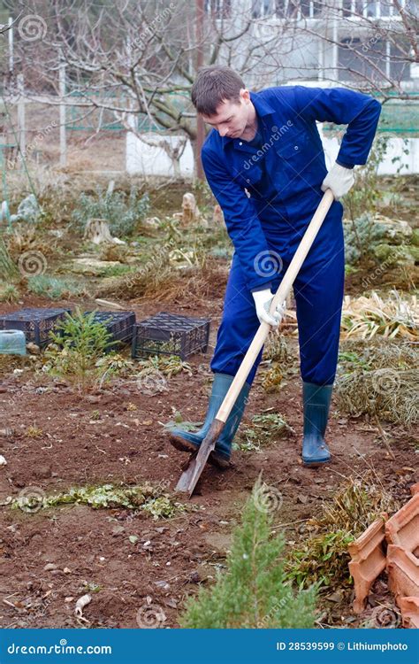Man Digging Soil Royalty Free Stock Images Image 28539599