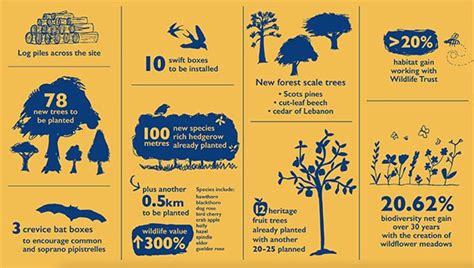 Biodiversity Infographic University College Oxford Univ
