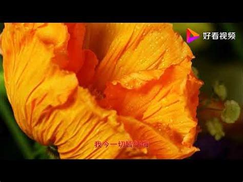 经典佛经唱诵八十八佛忏悔文消业增福身心轻安 YouTube