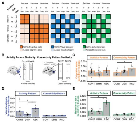 pattern similarity analyses using both background fc patterns and download scientific diagram