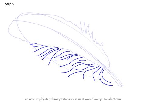 How To Draw A Feather Everyday Objects Step By Step DrawingTutorials Com