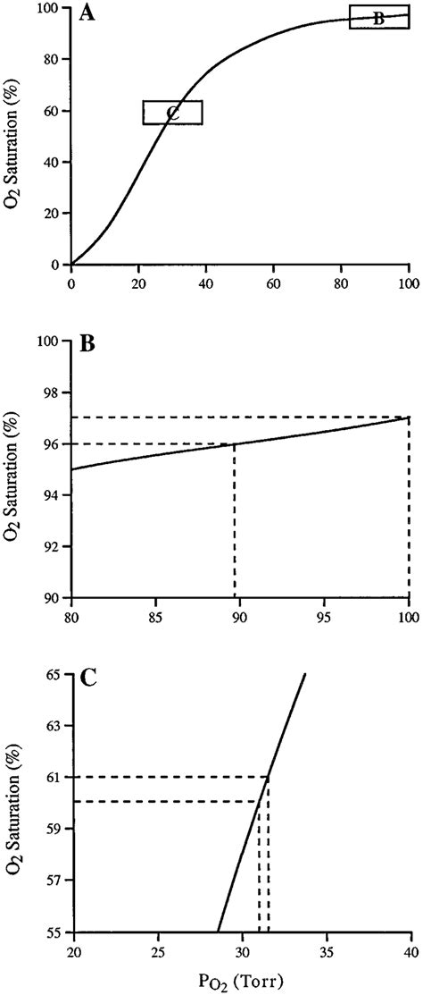 Shape Of Oxyhemoglobin Dissociation Curve Causes Rates Of Increase In Download Scientific