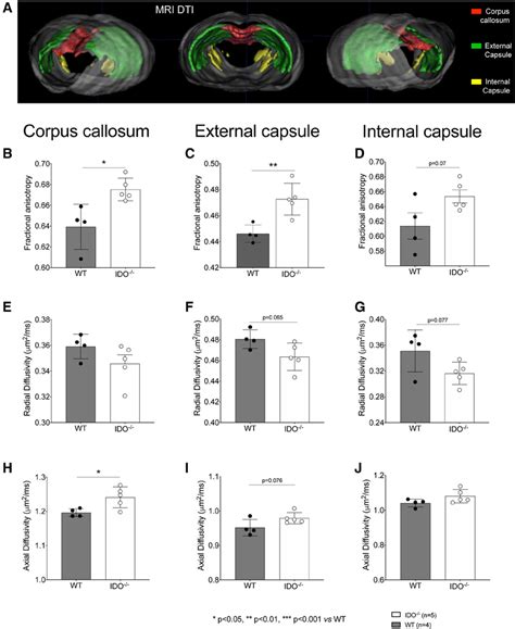 Diffusion Tensor Magnetic Resonance Imaging Of Mice 7 Days After Download Scientific Diagram
