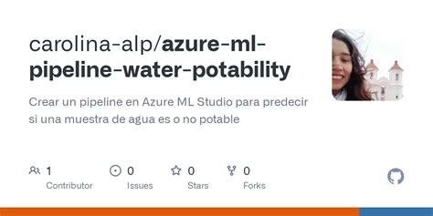 Github Carolina Alp Azure Ml Pipeline Water Potability Crear Un