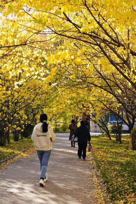 学习强国学习平台