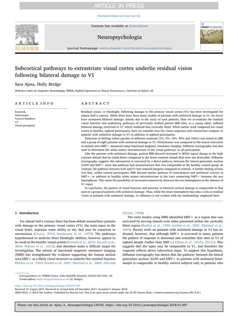PDF Subcortical Pathways To Extrastriate Visual Cortex Underlie