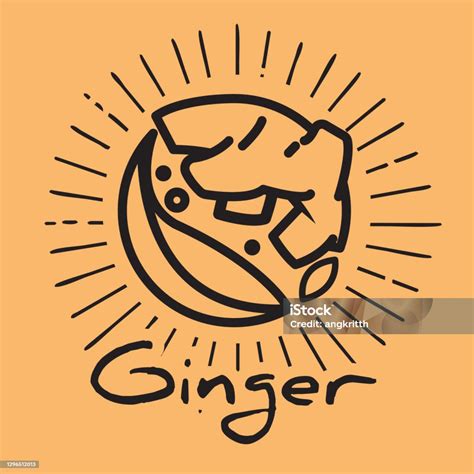 Logo Jahe Konsep Logo Herbal Ilustrasi Stok Unduh Gambar Sekarang Jahe Rempah Rempah Logo