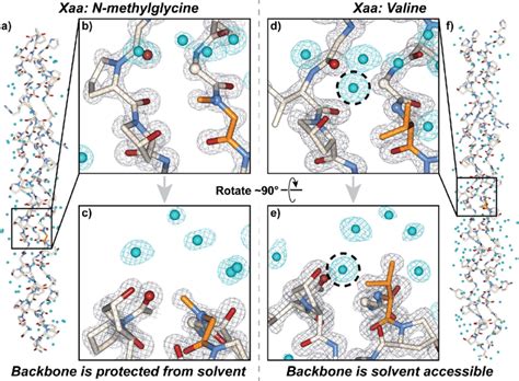 crystal structures of cmps 24 pdb 6w46 and 25 pdb 6w47 solved to download scientific