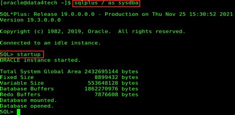 Installing Oracle 19c Single Instance Database