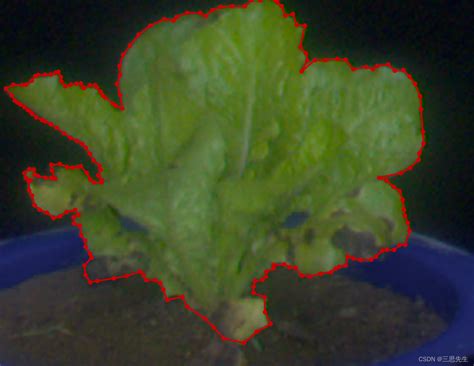 Deeplabv3语义分割实战：详解deeplabv3训练与测试（tensorflow）deeplabv3 实战 Csdn博客