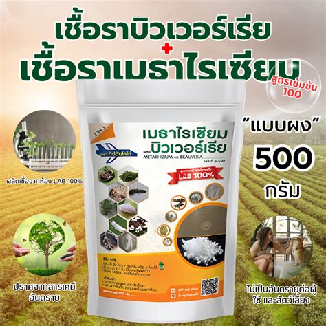 เมธาบิว สูตรเข้มข้น เชื้อราบิวเวอร์เรีย เชื้อราเมธาไรเซียม แบบผง ปลอดภัย 100 Shopee Thailand