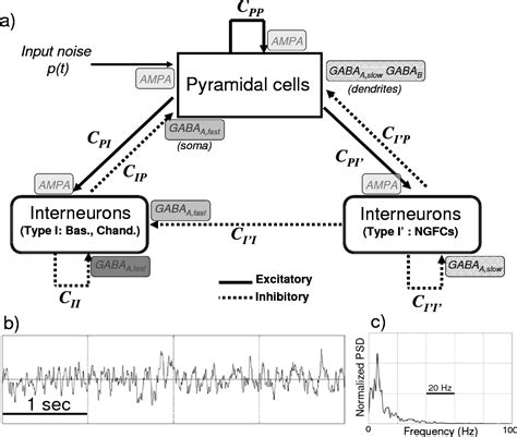 Table 1 From Computational Modeling Of High Frequency Oscillations At The Onset Of Neocortical