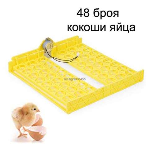 Поставка за кокоши яйца с мотор 48 бр Съоръжения Клетки за отглеждане на животни Соф