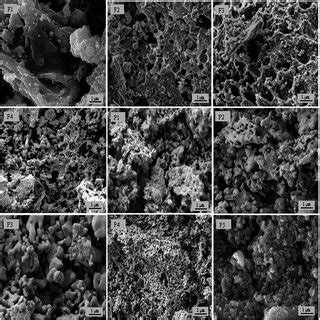 Powder X Ray Diffraction Patterns Of The Investigated Samples