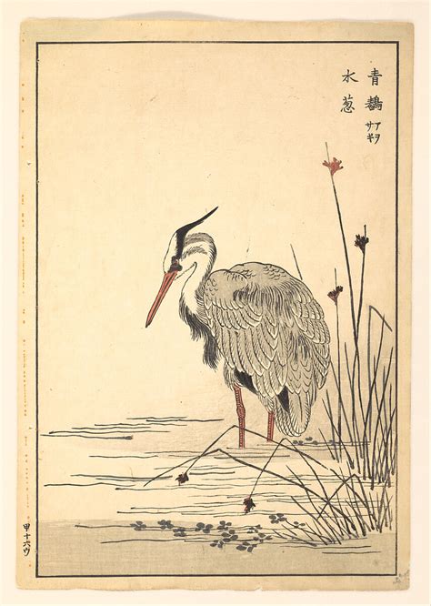 Unidentified Artist Gray Heron Aosagi And Mizu Aoi Plant Japan