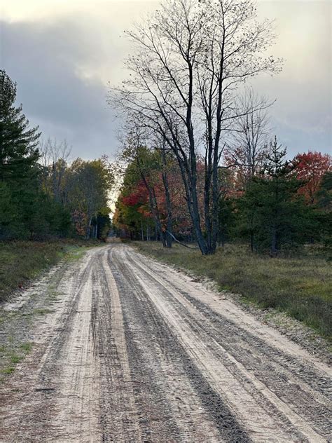 Bog Lake Fs 2686 Michigan Off Road Trail Map And Photos Onx Offroad