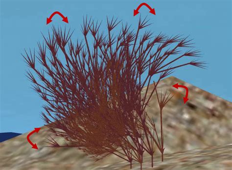 Individual Alga Animation Using Shaders Download Scientific Diagram