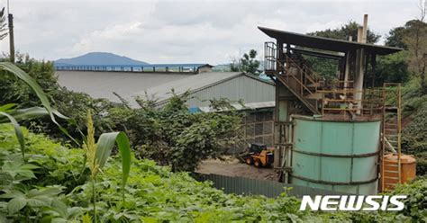 음성 친환경 농장 계란은 살충제 범벅 전량 회수·폐기