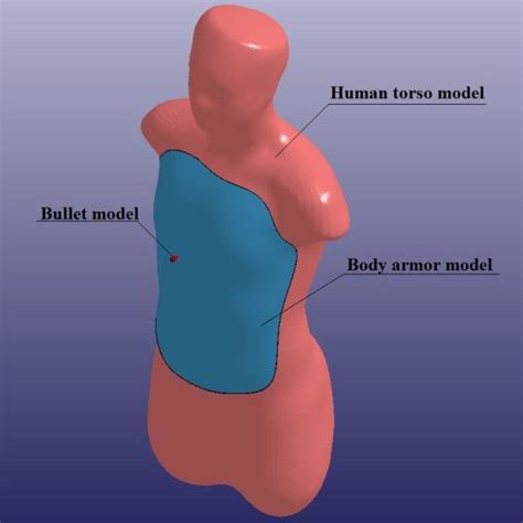 Human Torso Under Non Penetrated Bullet Impacting Download Scientific