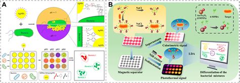 Recent Advances In Sensor Arrays Aided By Machine Learning For Pathogen