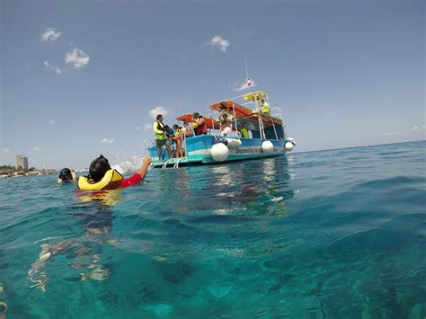 Cozumel Glass Bottom Boat Bavarian Fiesta Snorkel Activity In Glass