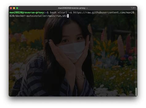 Nginx As A Docker Reverse Proxy Tkjpedia
