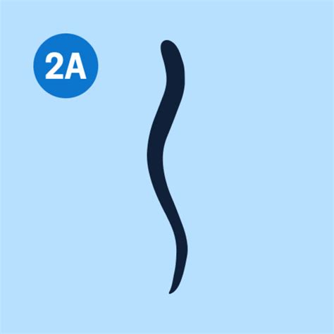 Curl Pattern Chart How To Find Your Curl Type