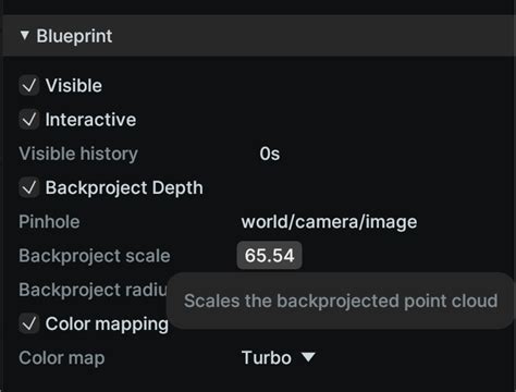 Backprojection Parameters Arent Descriptive · Issue 1587 · Rerun Iorerun · Github