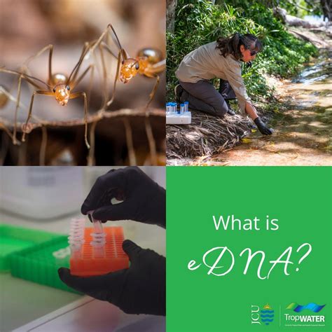 Tropwater Environmental Dna Edna Analysis Is A Powerful Tool For Addressing A Range Of