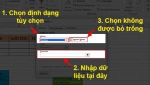 T Ng H P C Ch S D Ng Data Validation C B N V N Ng Cao Trang Th Ng Tin Chuy N S U V C C Ng