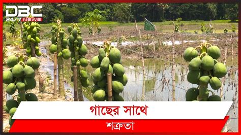 প্রবাসীর স্বপ্ন ভঙ্গ Dbc News Special Youtube