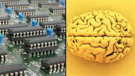 Whats The Difference Between Human Eyes And Computer Vision