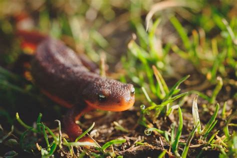 Keys To Achieve Consistency In Your Images