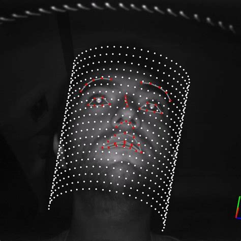 Pose Normalization With Chm A A 3d Chm Projected On A 2d Image B