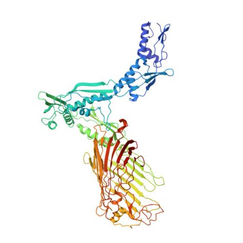 rcsb pdb 8spr the cryo em structure of the ecbam espp beta1 12 complex