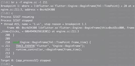 Flutter Engine C 源码调试初探 区长