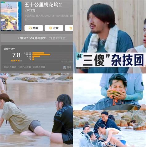 搞笑的综艺节目有哪些超下饭综艺推荐 工作号