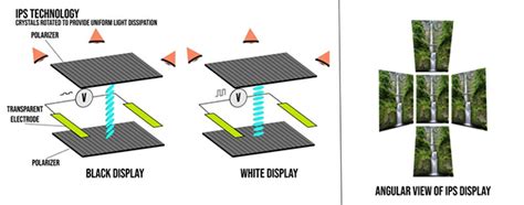 IPS Vs OLED Which Display Technology Should You Choose YuChip LED
