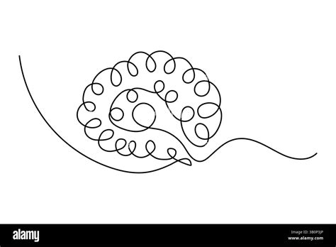 Human Brain Continuous One Line Drawing Of Minimalist Outline Vector