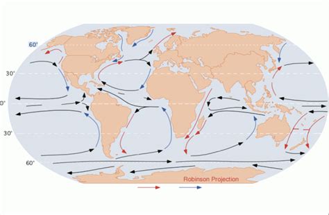 World Ocean Currents Diagram Quizlet
