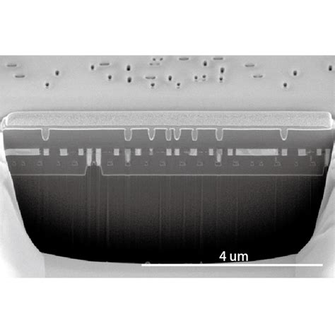 Bdb 500 Focused Ion Beam Scanning Electron Microscope