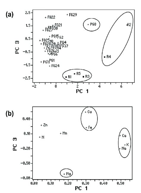 Principal Component Analysis Pc 1 × Pc 3 Showing Scores A And